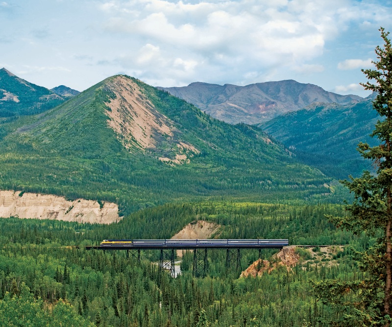 Princess Alaska rail service to Denali view | CruiseExperts.com Blog