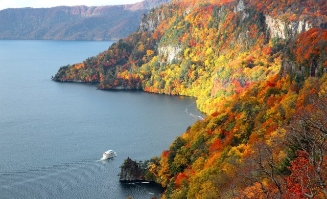 Discover the Best Fall Foliage Cruises | CruiseExperts.com Blog